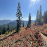Mount Sawyer via Tonga Ridge Trail, Washington - 355 Reviews, Map ...