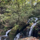 Rutledge Falls Trail, Tennessee - 580 Reviews, Map | AllTrails