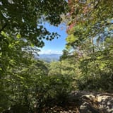 Graybeard Trail, North Carolina - 1,733 Reviews, Map | AllTrails
