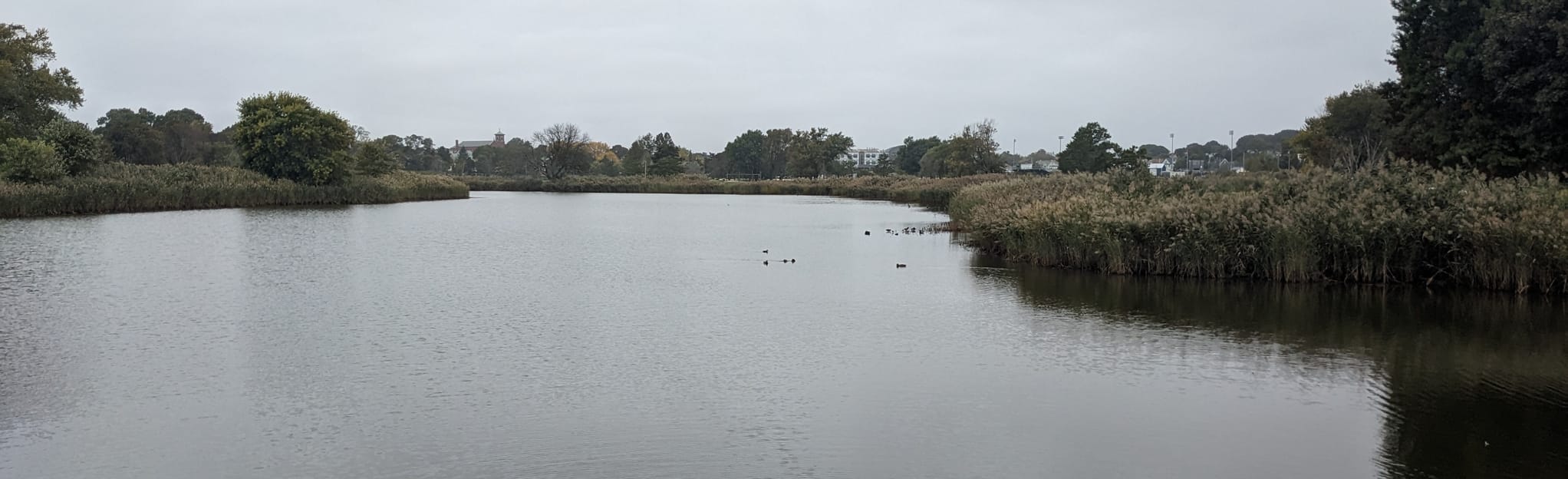 Lewis Lake Nature Walk, Massachusetts - 4 Reviews, Map | AllTrails