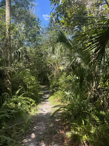 2023 Best Views Trails in Pompano Beach | AllTrails