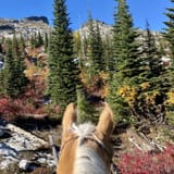 Fault Lake, Idaho - 268 Reviews, Map | AllTrails