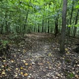 Turkey Run Outer Loop, Indiana - 634 Reviews, Map | AllTrails