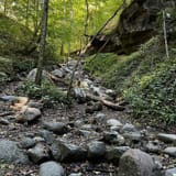 Turkey Run Outer Loop, Indiana - 633 Reviews, Map | AllTrails