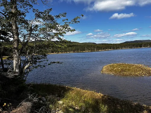 Best Hikes and Trails in Indian Brook | AllTrails