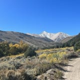 Boundary Peak Trail, Nevada - 198 Reviews, Map | AllTrails