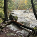 Auger Falls Loop, New York - 706 Reviews, Map | AllTrails