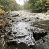 Auger Falls Loop, New York - 706 Reviews, Map | AllTrails