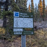 Moose Mountain Trail, Alberta, Canada - 1,446 Reviews, Map | AllTrails