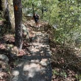 Sunset Trail, Arkansas - 674 Reviews, Map | AllTrails