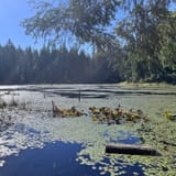 Lord Hill, Main Trail, and Temple Pond Loop Trail, Washington - 1,373 ...