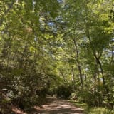 Hard Times Road Trail, North Carolina - 422 Reviews, Map | AllTrails