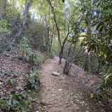 Hard Times Road Trail, North Carolina - 422 Reviews, Map | AllTrails
