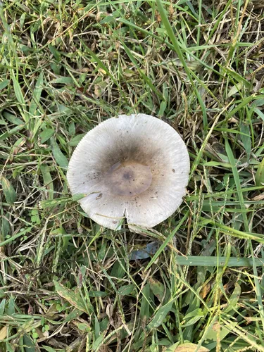 Best Hikes and Trails in Henson Creek Park | AllTrails