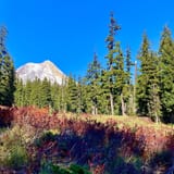 Umbrella and Sahale Falls Loop, Oregon - 1,818 Reviews, Map | AllTrails