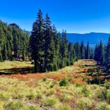 Umbrella and Sahale Falls Loop, Oregon - 1,818 Reviews, Map | AllTrails
