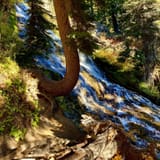 Umbrella and Sahale Falls Loop, Oregon - 1,818 Reviews, Map | AllTrails