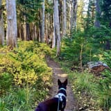 Umbrella and Sahale Falls Loop, Oregon - 1,818 Reviews, Map | AllTrails