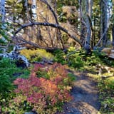 Umbrella and Sahale Falls Loop, Oregon - 1,818 Reviews, Map | AllTrails