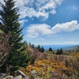 Wilburn Ridge via Appalachian Trail, Virginia - 1,723 Reviews, Map ...