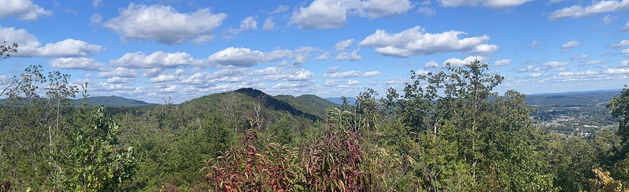 Devil's Racetrack Trail, Tennessee - 528 Reviews, Map | AllTrails