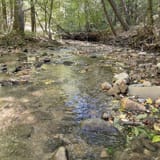 Chestnut Ridge Heritage Preserve Trail, South Carolina - 1,412 Reviews ...