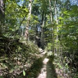 Chestnut Ridge Heritage Preserve Trail, South Carolina - 1,412 Reviews ...