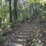 Chestnut Ridge Heritage Preserve Trail, South Carolina - 1,412 Reviews ...