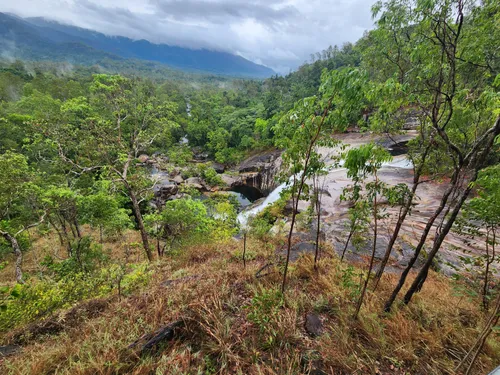 10 Best Hikes and Trails in Girringun National Park | AllTrails