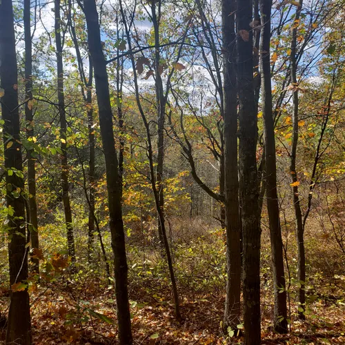 Best Hikes and Trails in Cassian-Woodboro County Recreation Area ...