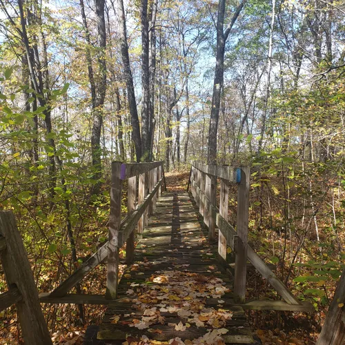Best Hikes and Trails in Cassian-Woodboro County Recreation Area ...