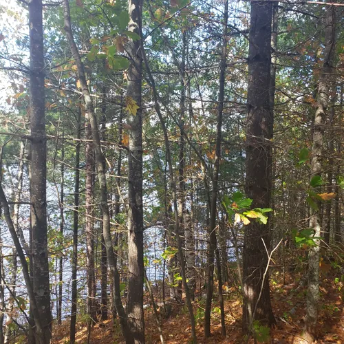 Best Hikes and Trails in Cassian-Woodboro County Recreation Area ...