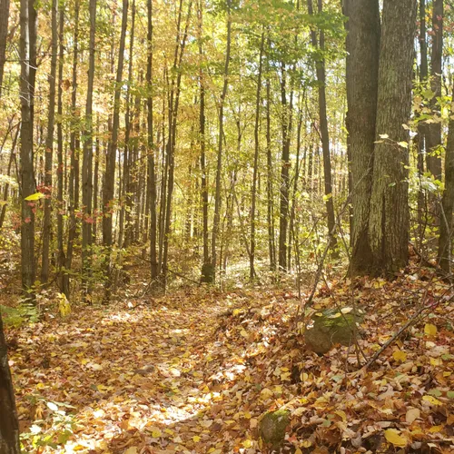Best Hikes and Trails in Cassian-Woodboro County Recreation Area ...