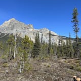 Emerald Lake Loop, British Columbia, Canada - 2,411 Reviews, Map ...