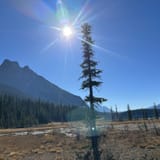 Emerald Lake Loop, British Columbia, Canada - 2,387 Reviews, Map ...