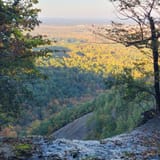 Indian Ladder Trail, New York - 819 Reviews, Map | AllTrails