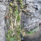 Indian Ladder Trail, New York - 819 Reviews, Map | AllTrails