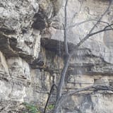 Indian Ladder Trail, New York - 799 Reviews, Map | AllTrails