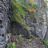 Indian Ladder Trail, New York - 819 Reviews, Map | AllTrails