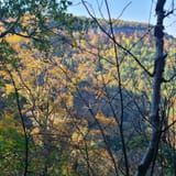 Indian Ladder Trail, New York - 819 Reviews, Map | AllTrails