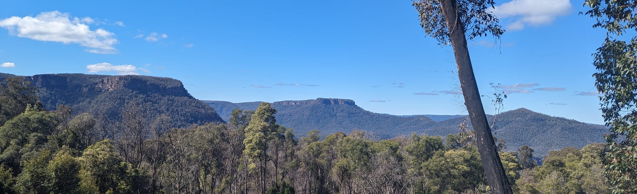 Griffins Fire Trail, New South Wales, Australia - 28 Reviews, Map ...