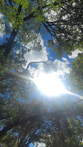 Best Hikes and Trails in Bootys Road Park | AllTrails