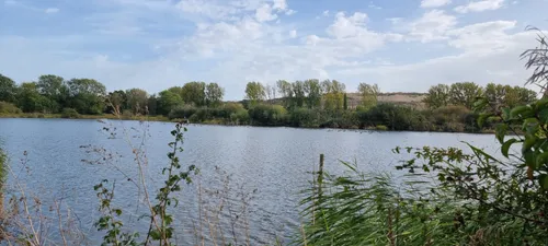 Best Hikes and Trails in Nutfield Marsh Nature Reserve | AllTrails