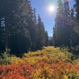 Umbrella and Sahale Falls Loop, Oregon - 1,818 Reviews, Map | AllTrails