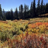 Umbrella and Sahale Falls Loop, Oregon - 1,818 Reviews, Map | AllTrails