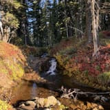 Umbrella and Sahale Falls Loop, Oregon - 1,781 Reviews, Map | AllTrails