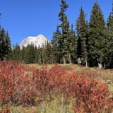 Umbrella and Sahale Falls Loop, Oregon - 1,818 Reviews, Map | AllTrails