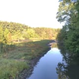 Millennium Trail, Kentucky - 449 Reviews, Map | AllTrails