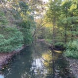 Millennium Trail, Kentucky - 449 Reviews, Map | AllTrails