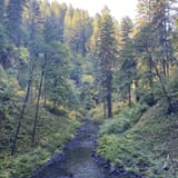 South Falls and Maple Ridge Loop, Oregon - 1,832 Reviews, Map | AllTrails